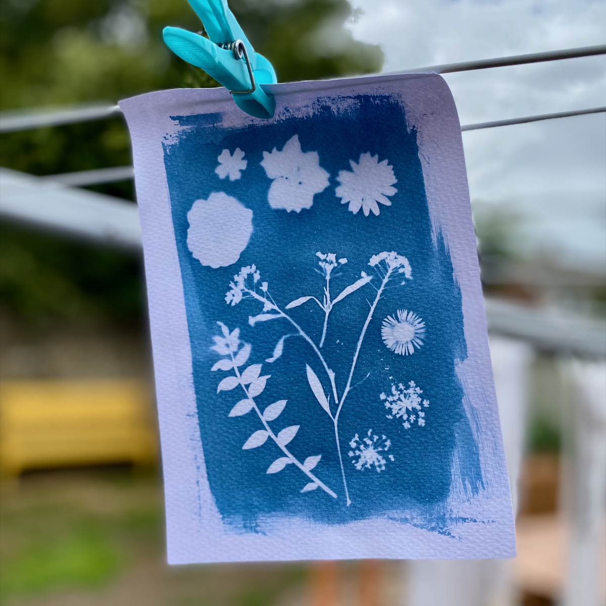 DIY Cyanotypes – Kids - Brentwood Public Library